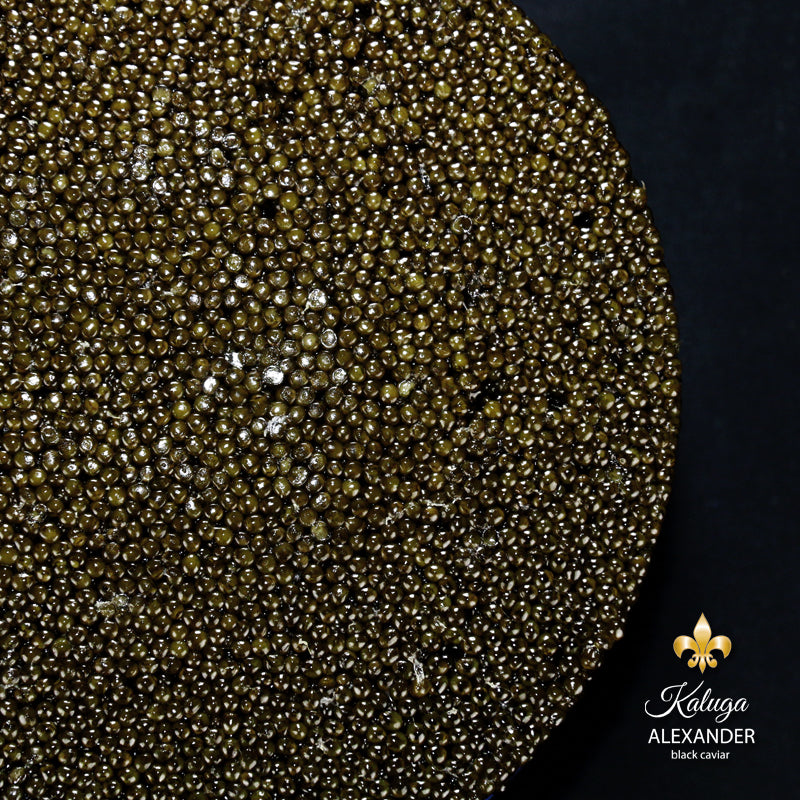 CAVIAR COLLECTION - All Sturgeon Caviars – Euro Gourmet